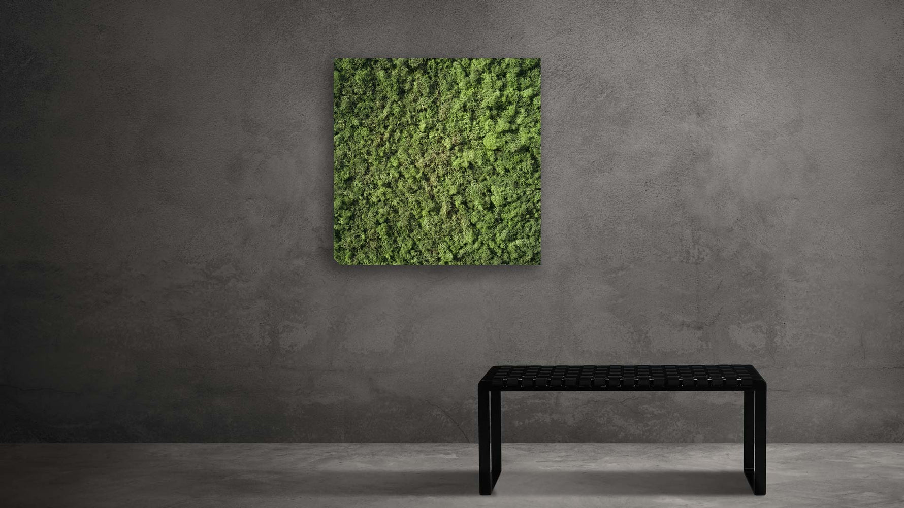 Mosbilleder » Bring naturen ind i indretningen med mosbilleder – Raw ...