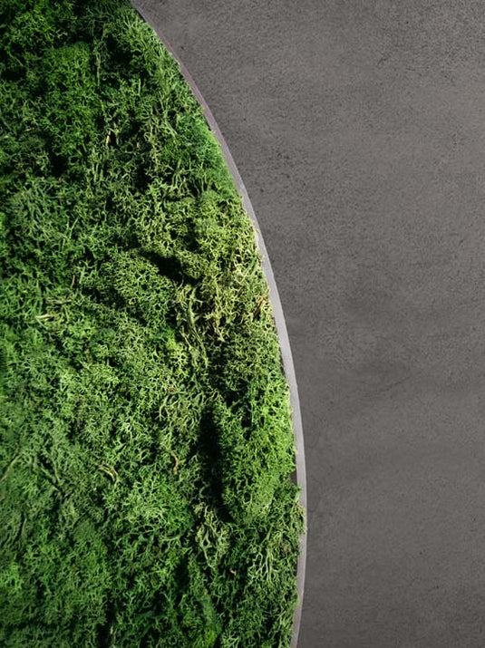 Mosbilleder » Bring naturen ind i indretningen med mosbilleder – Raw Solution